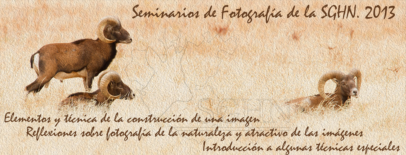 Curso de fotografía de la SGHN - Sociedad Gaditana de Historia Natural