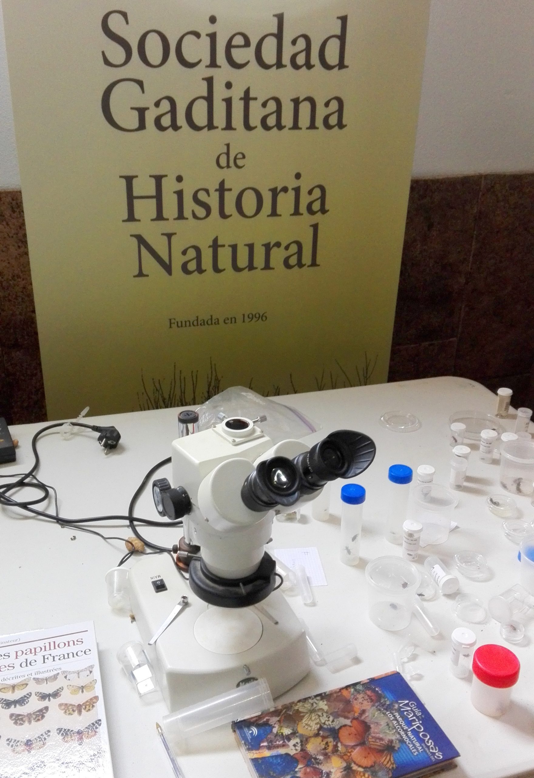 Finaliza el Bioblitz 2017 de la SGHN - Sociedad Gaditana de Historia Natural