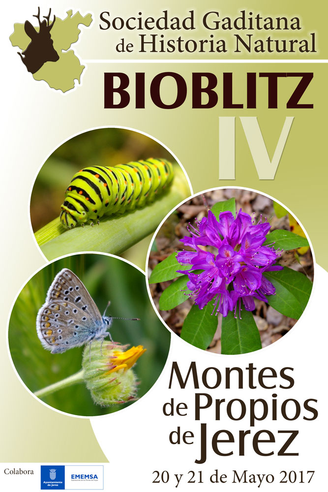 Bioblitz 2017 de la SGHN - Sociedad Gaditana de Historia Natural