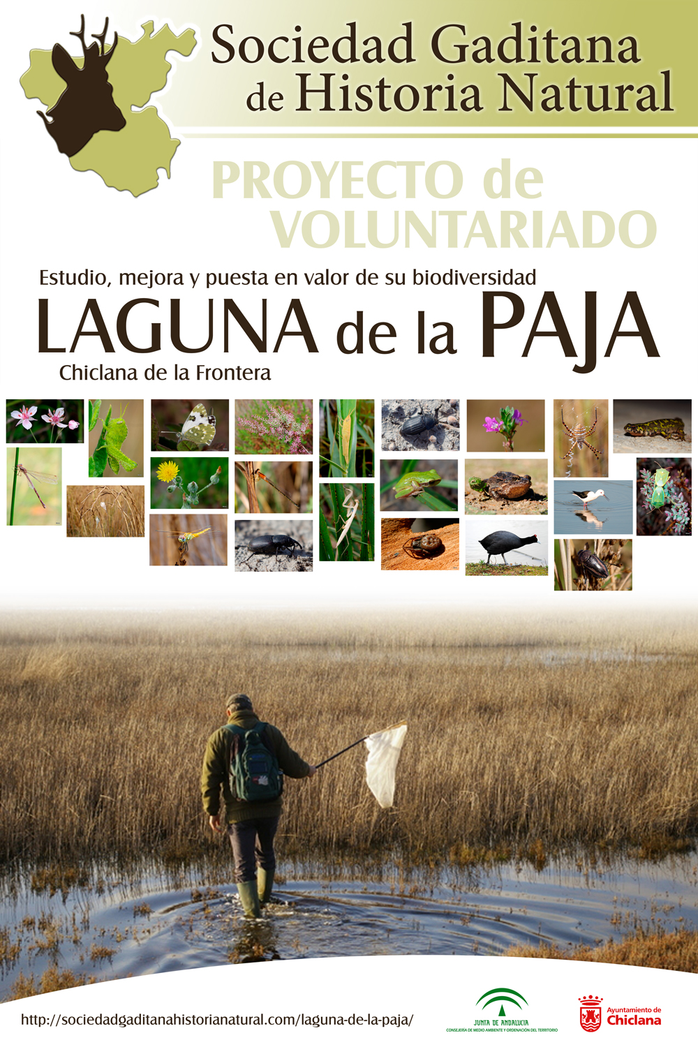 La SGHN pone en marcha el "Proyecto Laguna de la Paja" en Chiclana - Sociedad Gaditana de ...