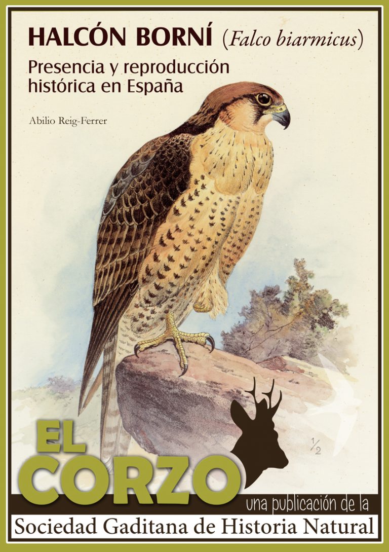 El halcón borní en España - Sociedad Gaditana de Historia Natural