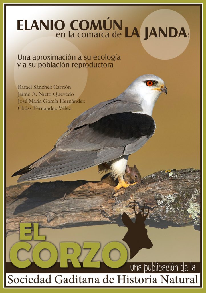 El elanio azul en la comarca de La Janda - Sociedad Gaditana de Historia Natural