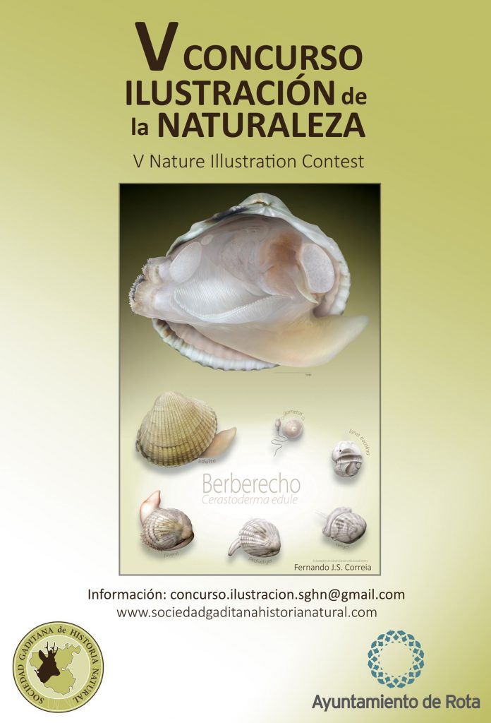 V Concurso de Ilustración de la SGHN (2023) - Sociedad Gaditana de Historia Natural