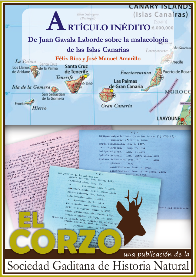 Nuevo artículo en El Corzo sobre un texto rescatado de la Colección Gavala - Sociedad Gaditana ...