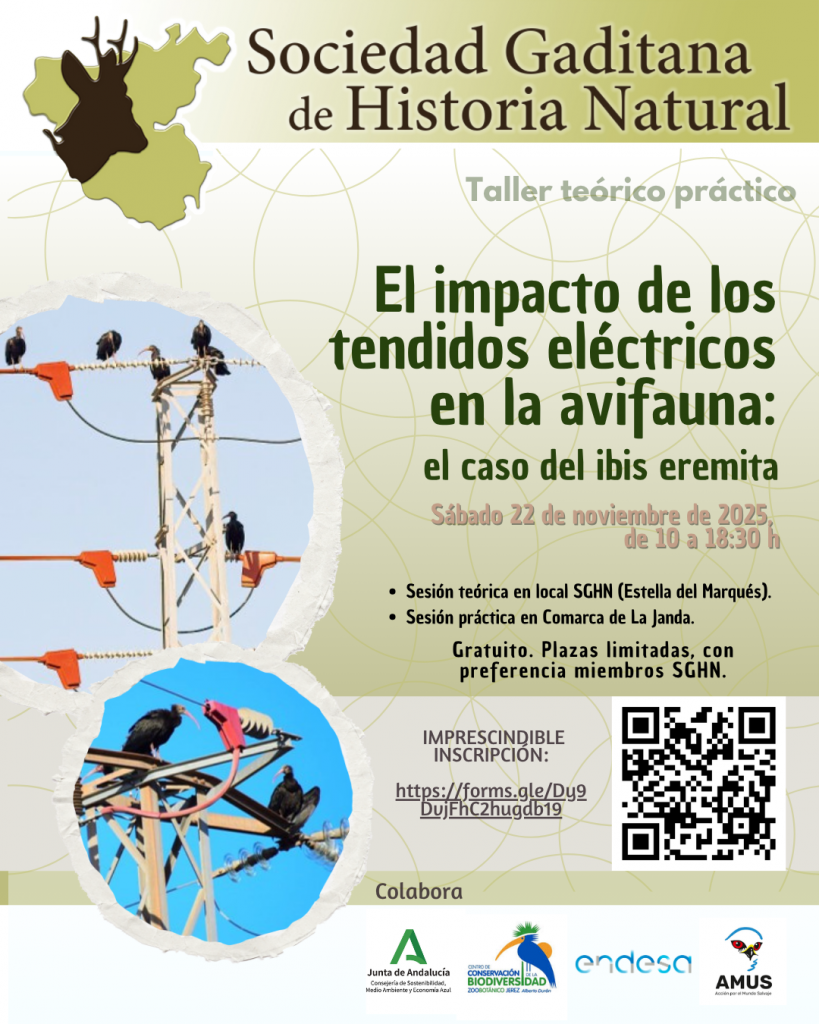 Nuevo taller sobre el impacto de los tendidos eléctricos en la avifauna: el caso del ibis ...