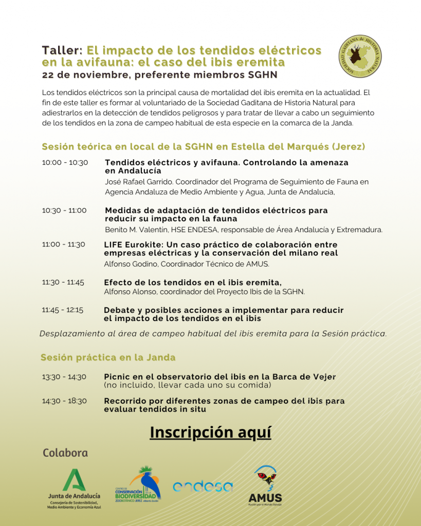 Nuevo taller sobre el impacto de los tendidos eléctricos en la avifauna: el caso del ibis ...